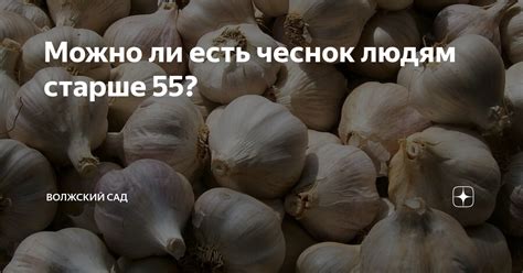 Можно ли есть чеснок людям старше 55 Волжский сад Дзен