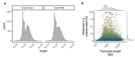 Fig S4 The Effect Of Transcript Length On Rna Partitioning Into