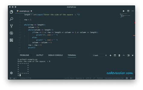 Python Program To Print A Star Hollow Square Pattern Codevscolor