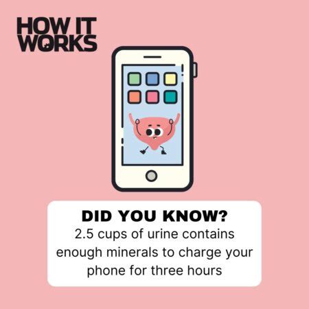 How Do Party Poppers Pop How It Works