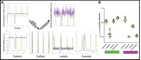spike inference from simulated calcium traces a we used each of three