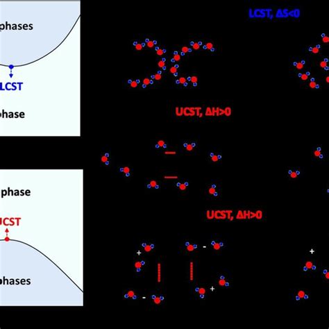 Phase Diagrams Of Thermoresponsive Polymer Solutions With Lcst Or Ucst