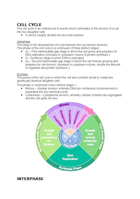 Cell Biology Notes Bio Cell Cycle Cell Cycle The Cell Cycle Is An