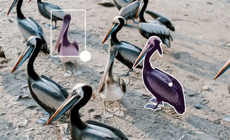 Deeplabv3 Resnet50 Qualcomm Ai Hub