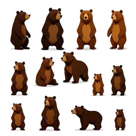 Bear Vector Set White Background Isolated A High Premium Ai Generated Image
