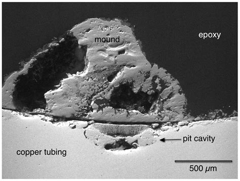 Copper Tube Pitting In Santa Fe Municipal Water Caused By Microbial Induced Corrosion