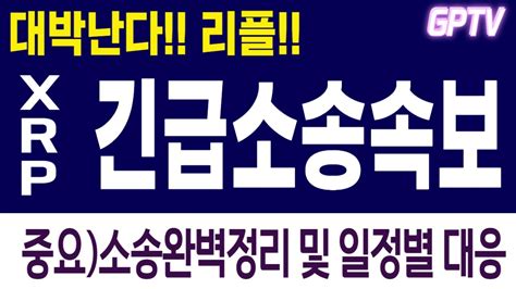 진짜 리플 엑스알피 전망 💥 리플 Xrp 긴급소송속보 내일 난리난다 리플 소송완벽정리 및 일정별 대응 이거 하나로 끝 Youtube