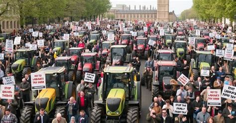 Tabled Julia Watson Substack