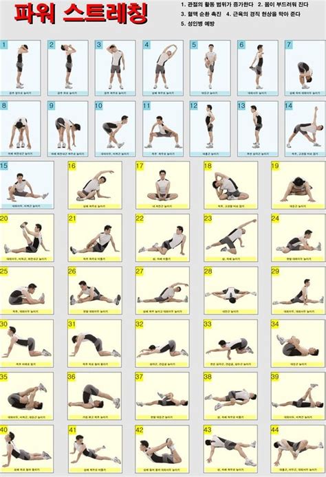 Guide To Foam Rolling A Basic Blueprint For Soft Tissue Therapy Artofit