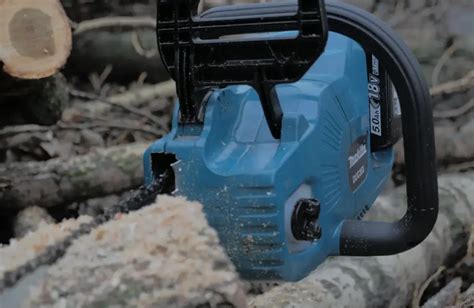 Tree Root Removal Cost