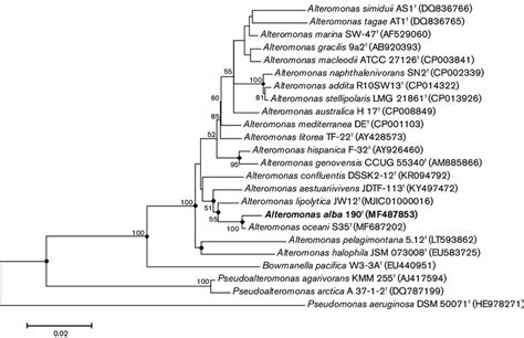 nj tree using the kimura two parameter model based on 16s rrna gene