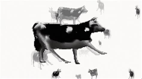 Cattle  Ice