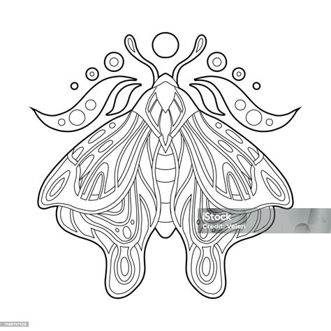 달과 등고선 나방의 벡터 신성한 그림 단색 윤곽선 나비 클립 아트입니다 날아다니는 곤충의 라인 아트 트레이서리 그림 애벌레에 대한 스톡 벡터 아트 및 기타 이미지 Istock