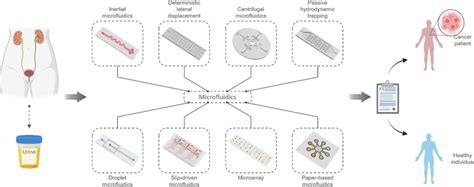 Schematic Illustration Of The Most Commonly Used Microfluidic