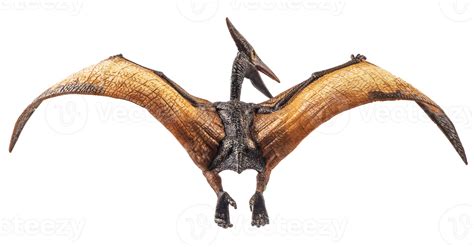 download pteranodon clipart pterodactyl pterodactyl pteranodon png