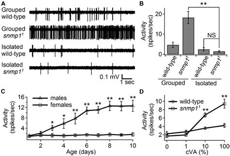 Effects Of Prior Exposure Either To Males Or To Cva On ‘‘spontaneous