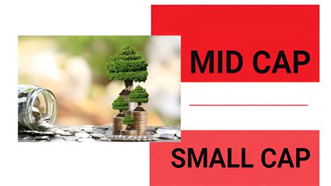 Is Small Cap And Mid Cap Segment Overvalued Heres What Should Mutual Fund Investors Do
