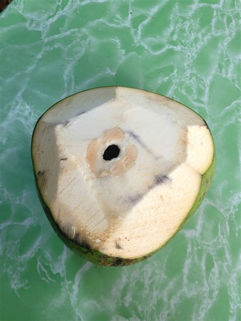 필리핀 따가이따이 과일시장 두리안 먹기 코코넛 주스 마시기 네이버 블로그