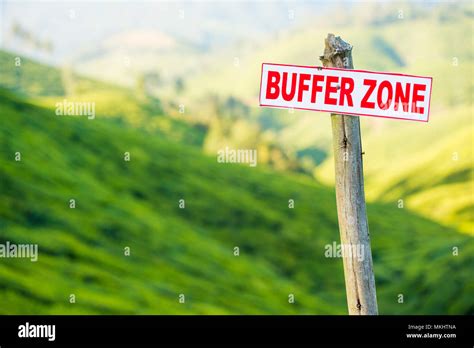 a sign that says buffer zone is at the top of a hill full of green