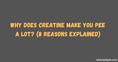 Does Creatine Make You Pee A Lot 8 Reasons Explained
