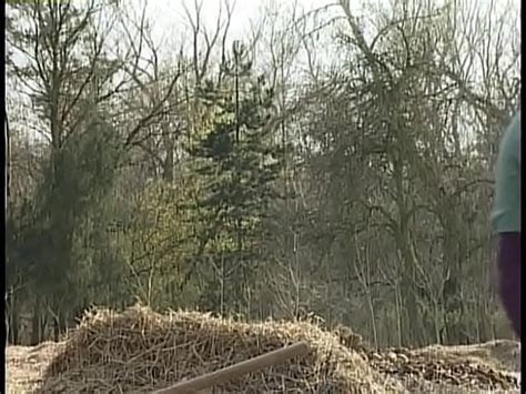 Gypsy Queens Volume Scene Xvideos Com