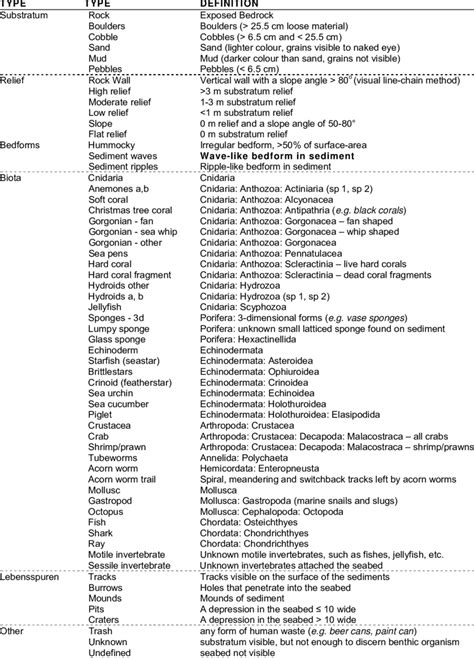 7 Seabed Video Characterisation Scheme Substratum Bedform Relief Download Table