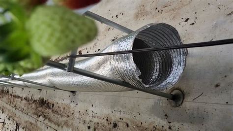 [수수네딸기]대포 닥트설치후 딸기 마름현상 Youtube