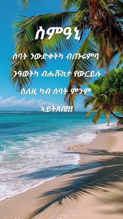 eritrean eritreanmusic habesha eritreancomedy eritreanfilm eritrea eritreanmovie