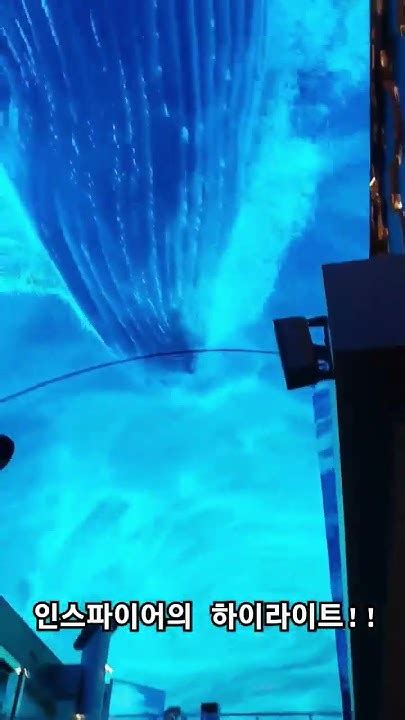 인스파이어 인스파이어 인스파이어리조트 돌고래출현 하이라이트중에서인기멋진곳 Youtube