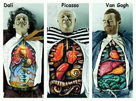 Illustrated Anatomy Photo