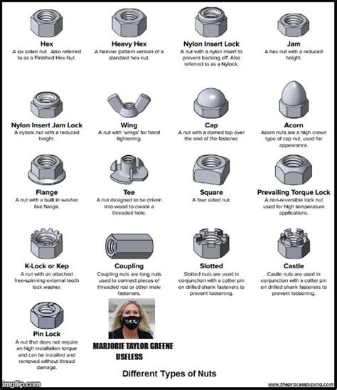 Different Types Of Nuts Scrolller