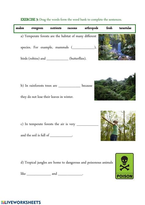 Types Of Forests Worksheet Live Worksheets Worksheets Library