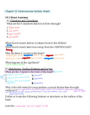 A P Ch Reproductive System Chapter The Reproductive System What Is A Gamete How Many