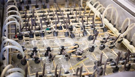 Fiber Digestibility Is More Than A Lab Measure Hay And Forage Magazine