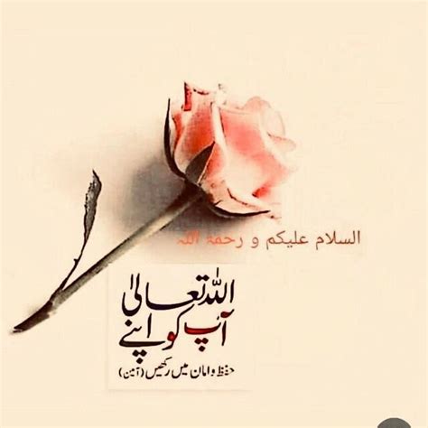Abdul Jabbar Mughal Posted On Linkedin