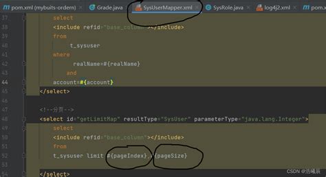 入门mybatis的第二天 Csdn博客