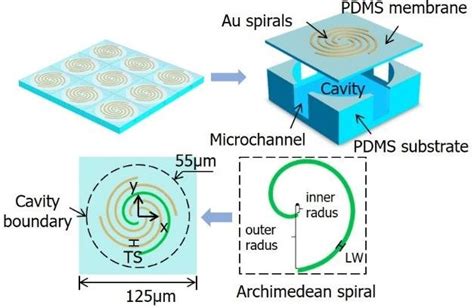 Schematic Of The Proposed Birefringence Free Tunable Terahertz Chiral