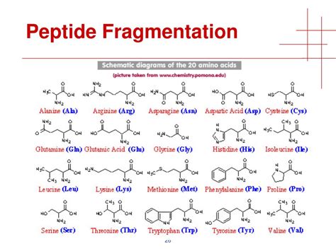 Ppt Protein Identification By Sequence Database Search Powerpoint