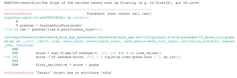 Problem In Grads Issue Keisen Tf Keras Vis GitHub