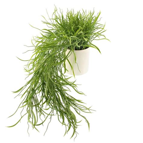 Artificial Trailing Grass In White Ceramic Plant Pot Dunelm