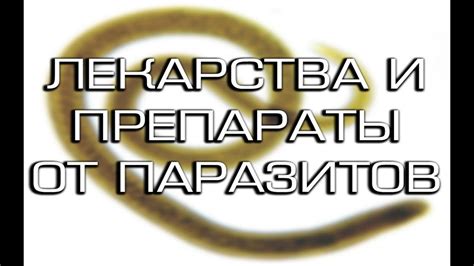 Лекарство от паразитов: список препаратов широкого спектра действия ...