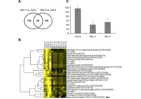 Comparative Transcript Profiling Of 15 Daf Seeds Of Tfiis Lines And