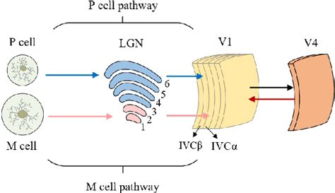 Figure 1 From A Contour Detection Method Based On The Projective Coding