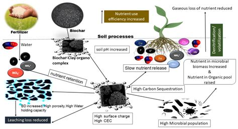 Biochar Reveals A Multifaceted And Promising Solution Irish Charcoal