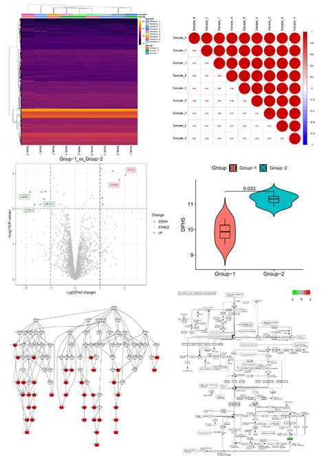 Extracellular Vesicle Proteomicsphosphoproteomics