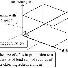 Size Of The Functioning Vector Space Download Scientific Diagram