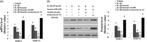 The Jak2 Stat1 Irf 1 Pathway Participates In The Inhibitory Effects Of