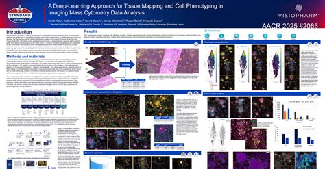 A Deep Learning Approach For Tissue Mapping And Cell Phenotyping In Imaging Mass Cytometry Data