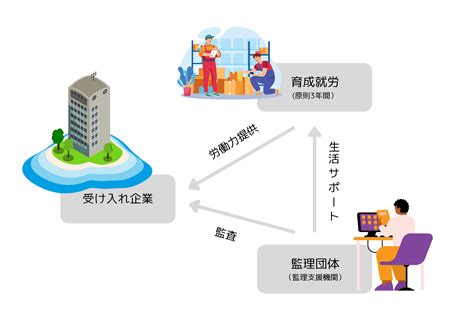 「育成就労」の制度とは、最新情報のまとめと技能実習生との比較 ウィルオブ採用ジャーナル