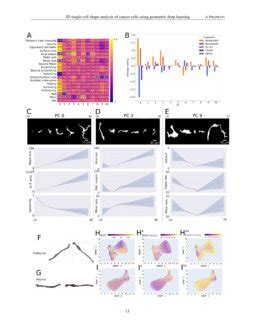 D Single Cell Shape Analysis Of Cancer Cells Using Geometric Deep Learning DeepAI